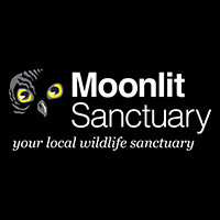 Moonlit Sanctuary - Keeper (Aves)